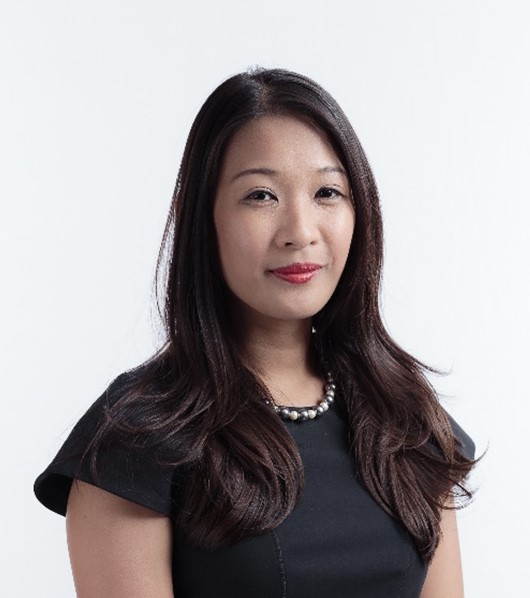 Global and Regional Financial Safety Nets: Achievements and Challenges ...