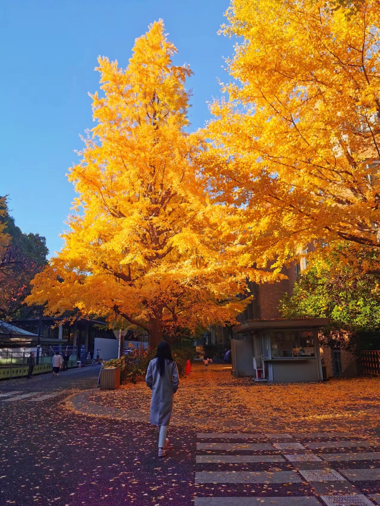 An Unforgettable Chapter: My CAMPUS Asia Plus Journey at the University ...